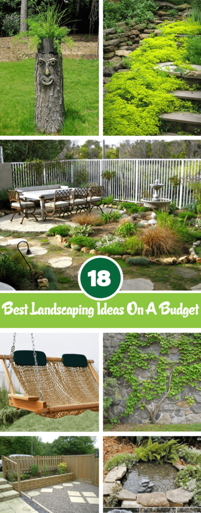 18 Inexpensive Landscaping Ideas For Your Backyard - InteriorSherpa
